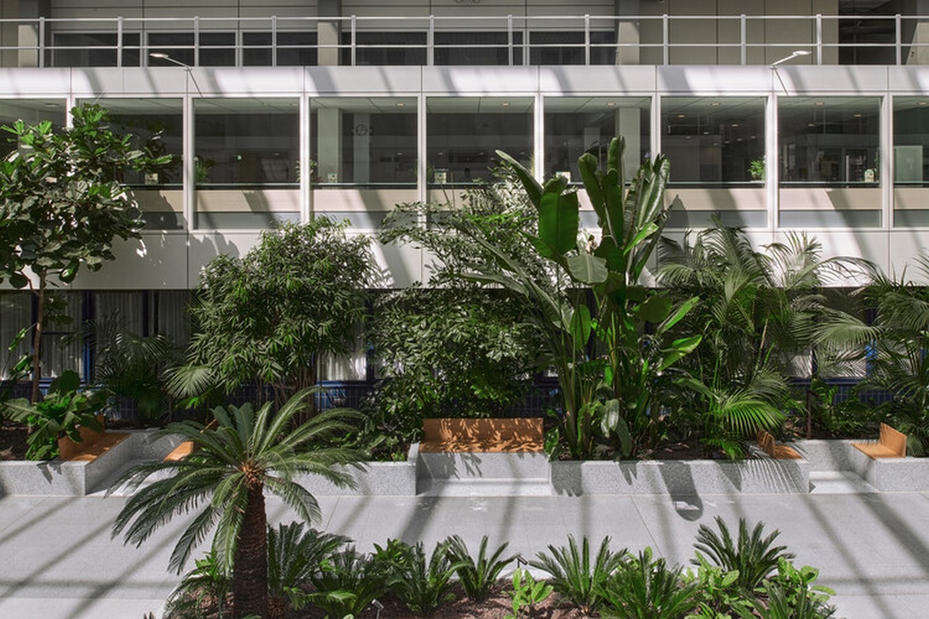 Hospital Renovation: Embracing Change in Purmerend, The Netherlands ...